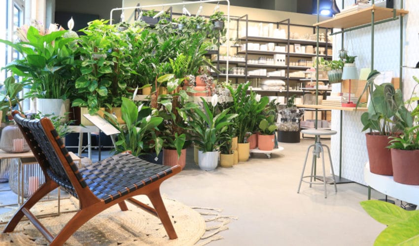 Umdasch kreiert Oase im Dschungel - display Magazin